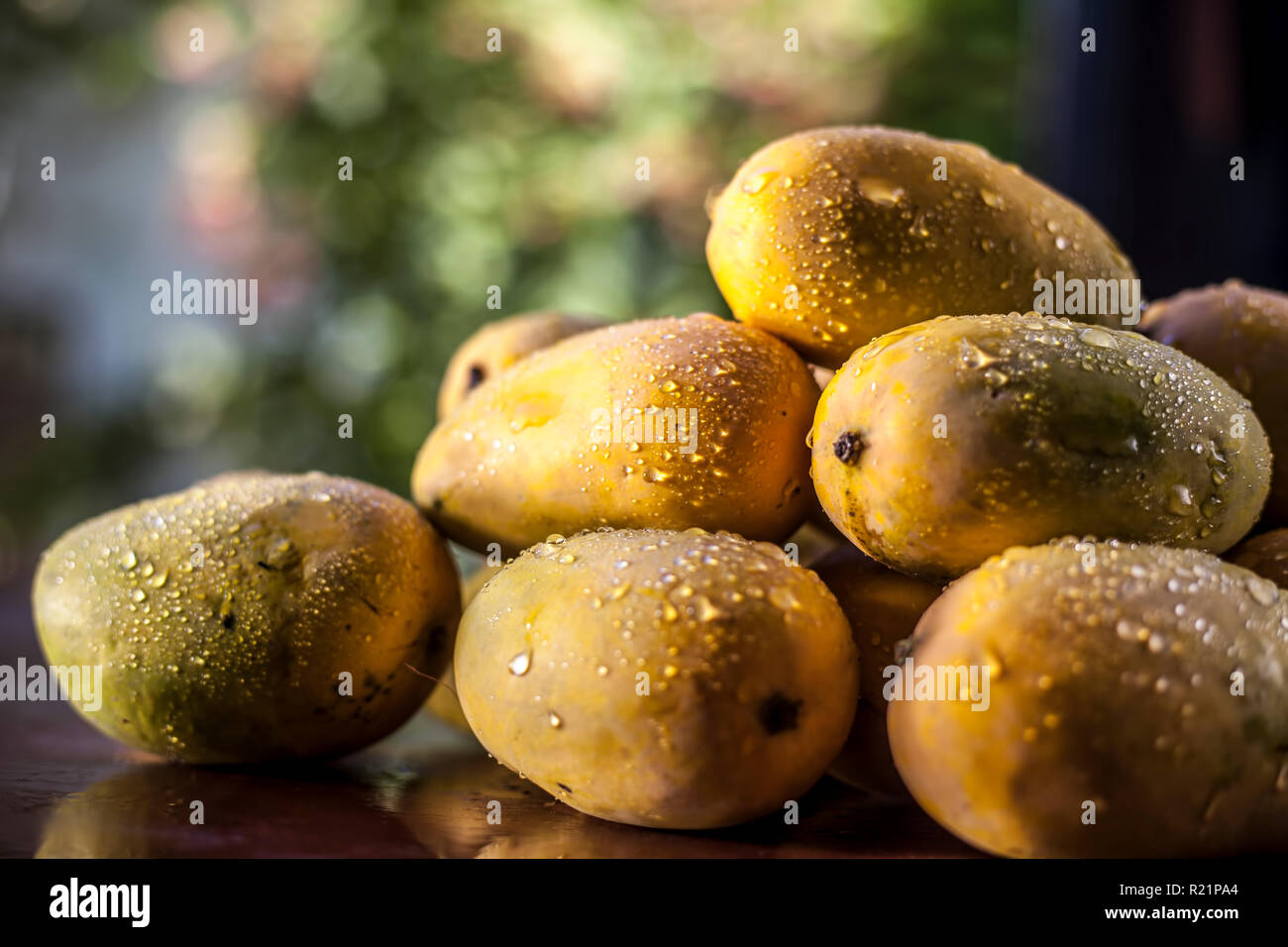 Mangos maharashtra hi-res stock photography and images - Alamy