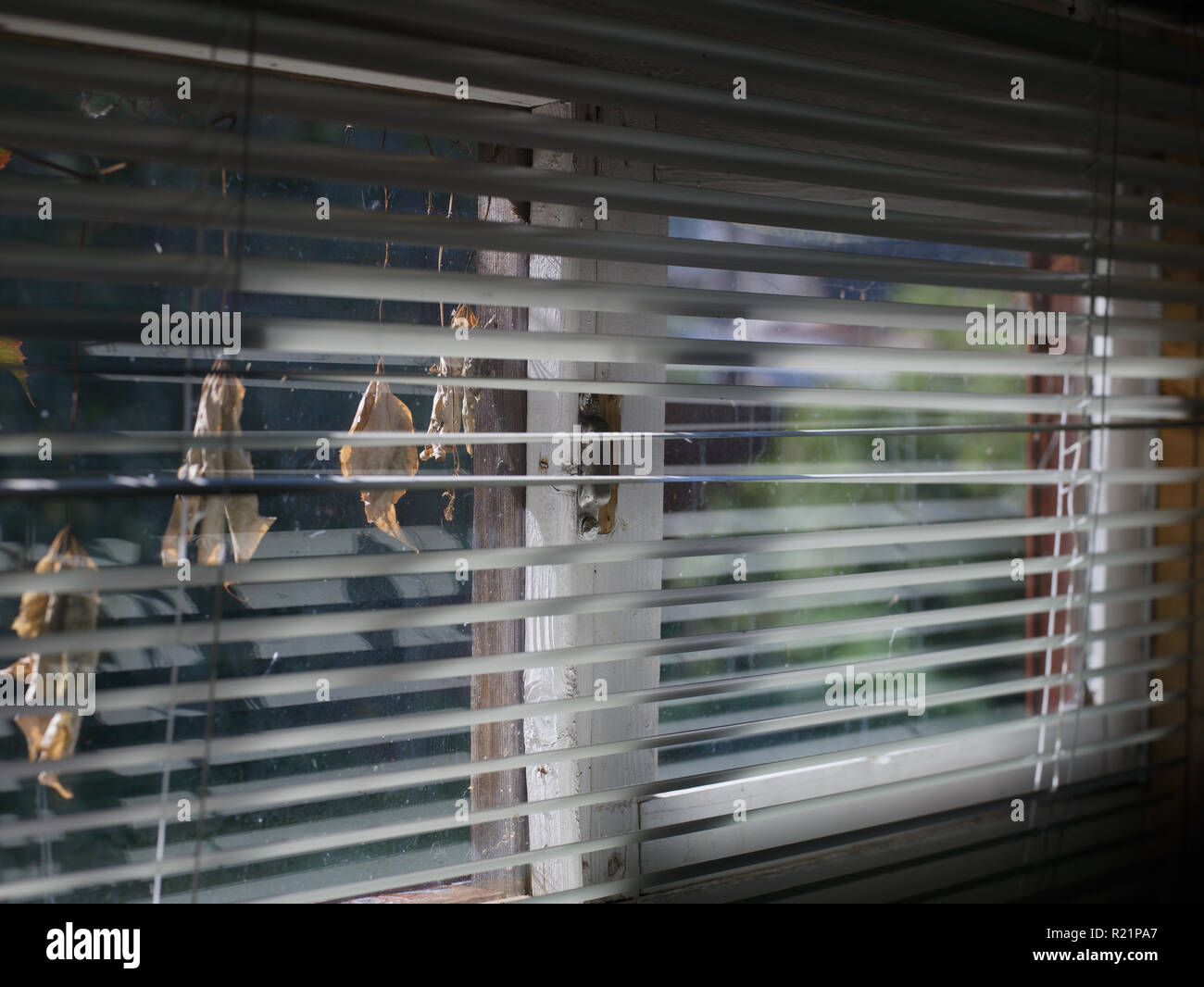 Half closed blinds hi-res stock photography and images - Alamy