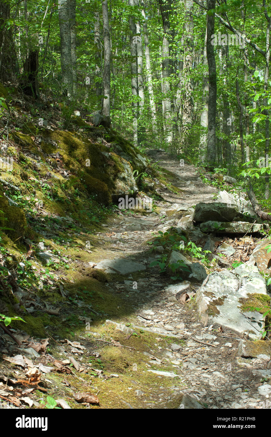 Wilderness road historic kentucky hi-res stock photography and images ...