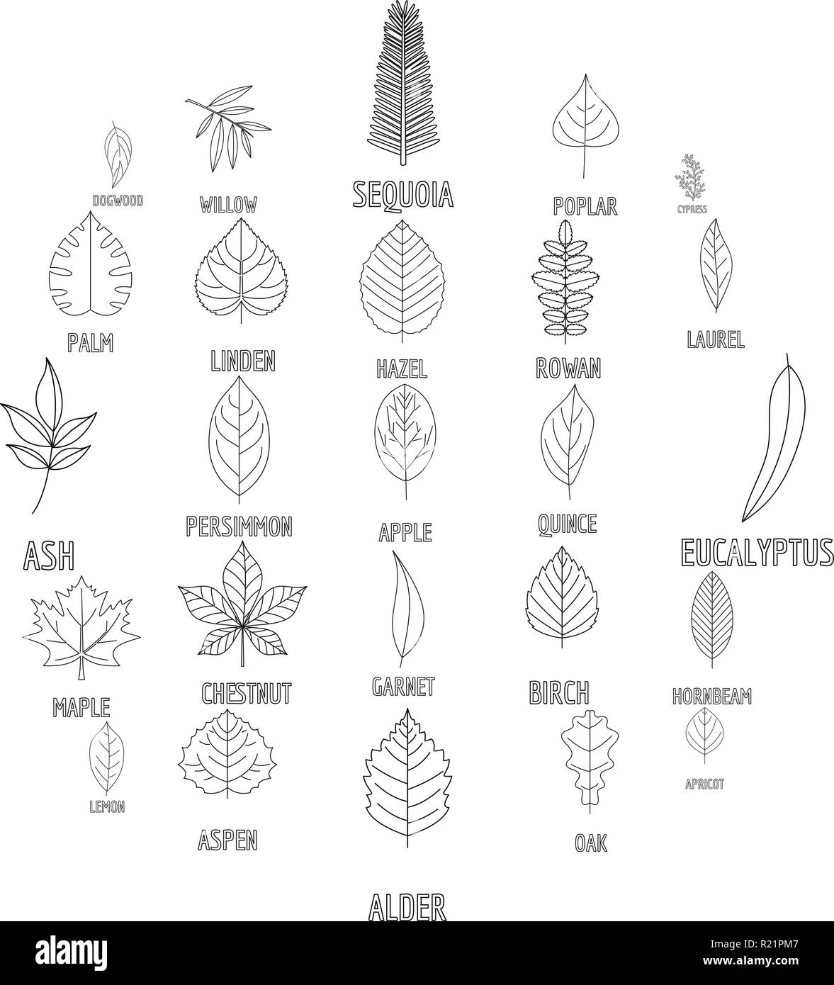 Leaf icons set. Outline illustration of 25 leaf vector icons for web ...