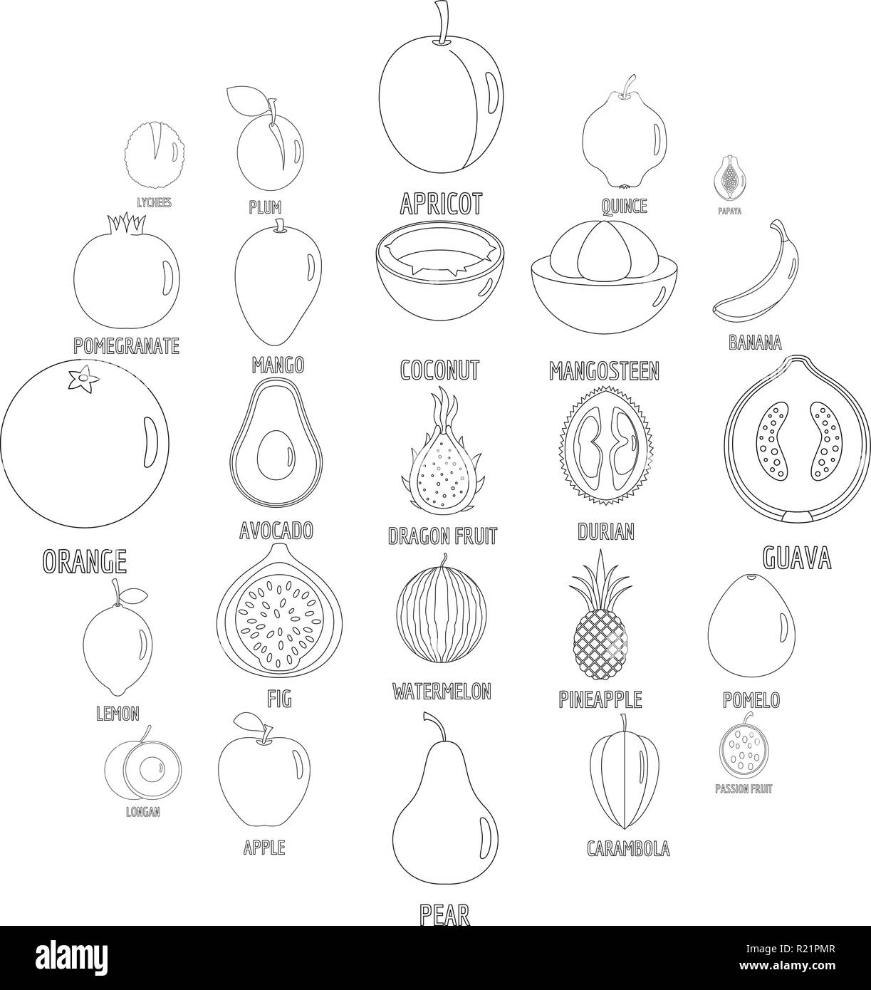 Fruits icons set. Outline illustration of 25 fruits vector icons for ...