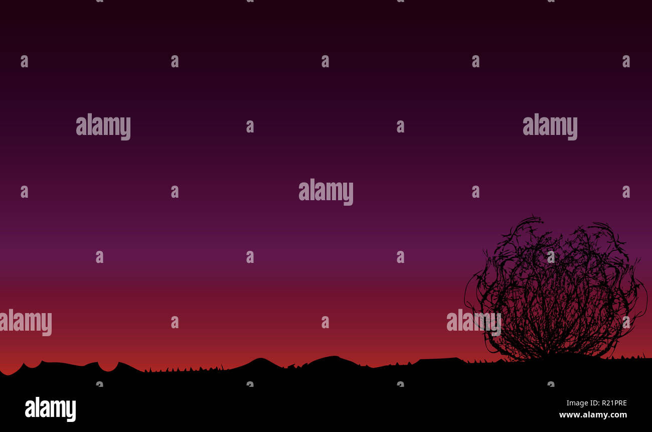 Tumbleweed at sunset hi-res stock photography and images - Alamy