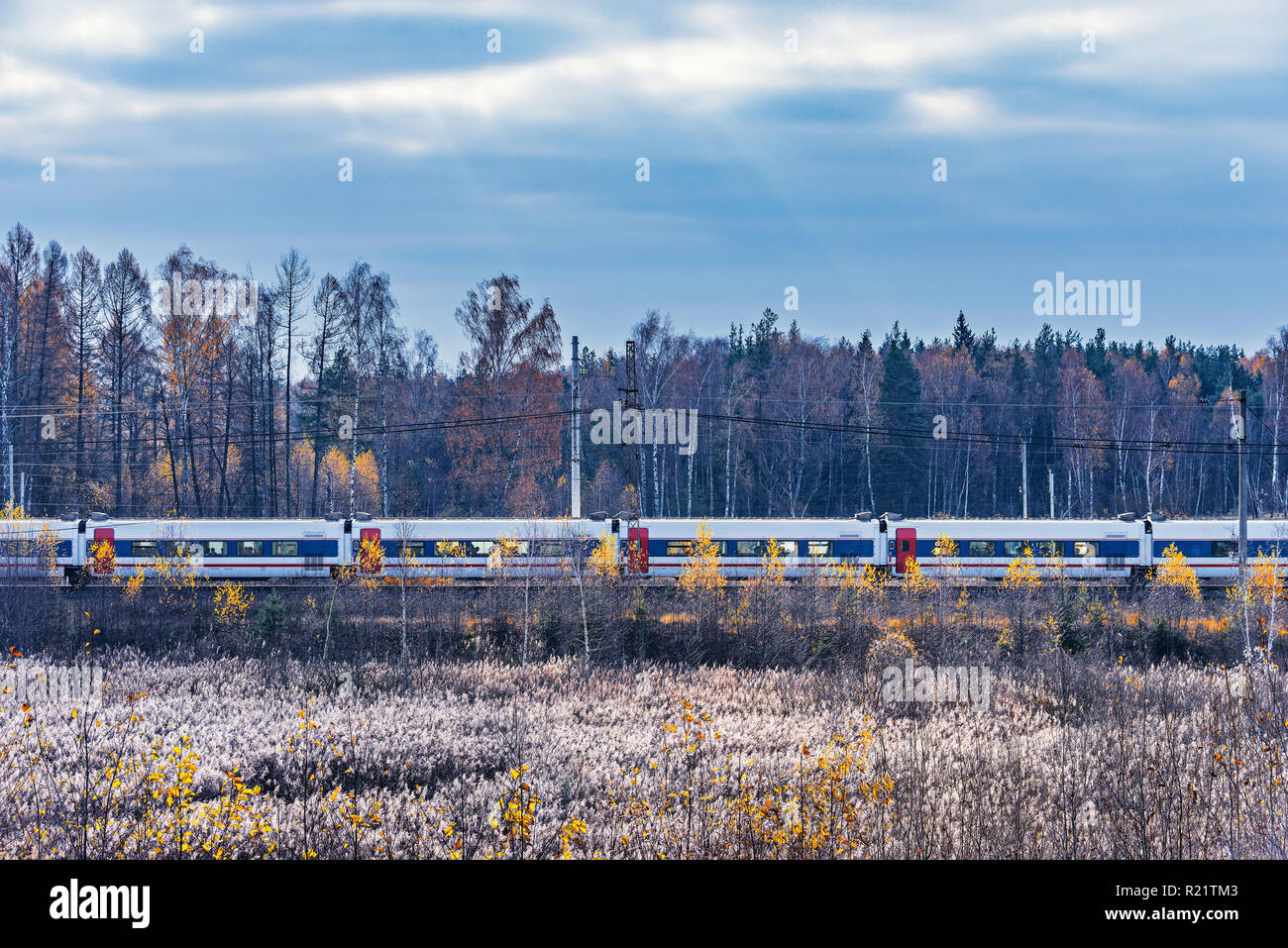 Modern high-speed train approaches to the station at autumn morning ...