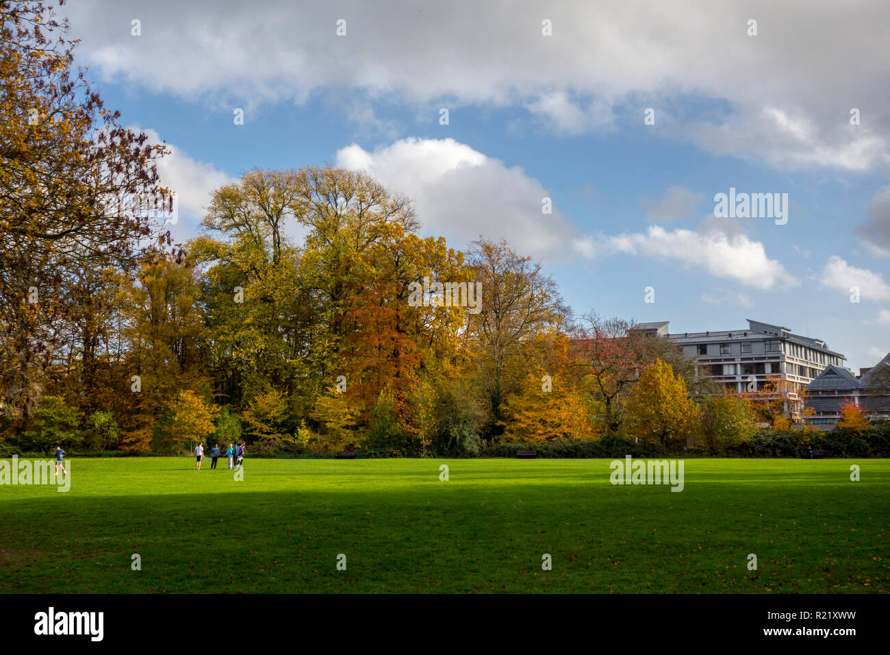 Fitzpatrick park hi-res stock photography and images - Alamy