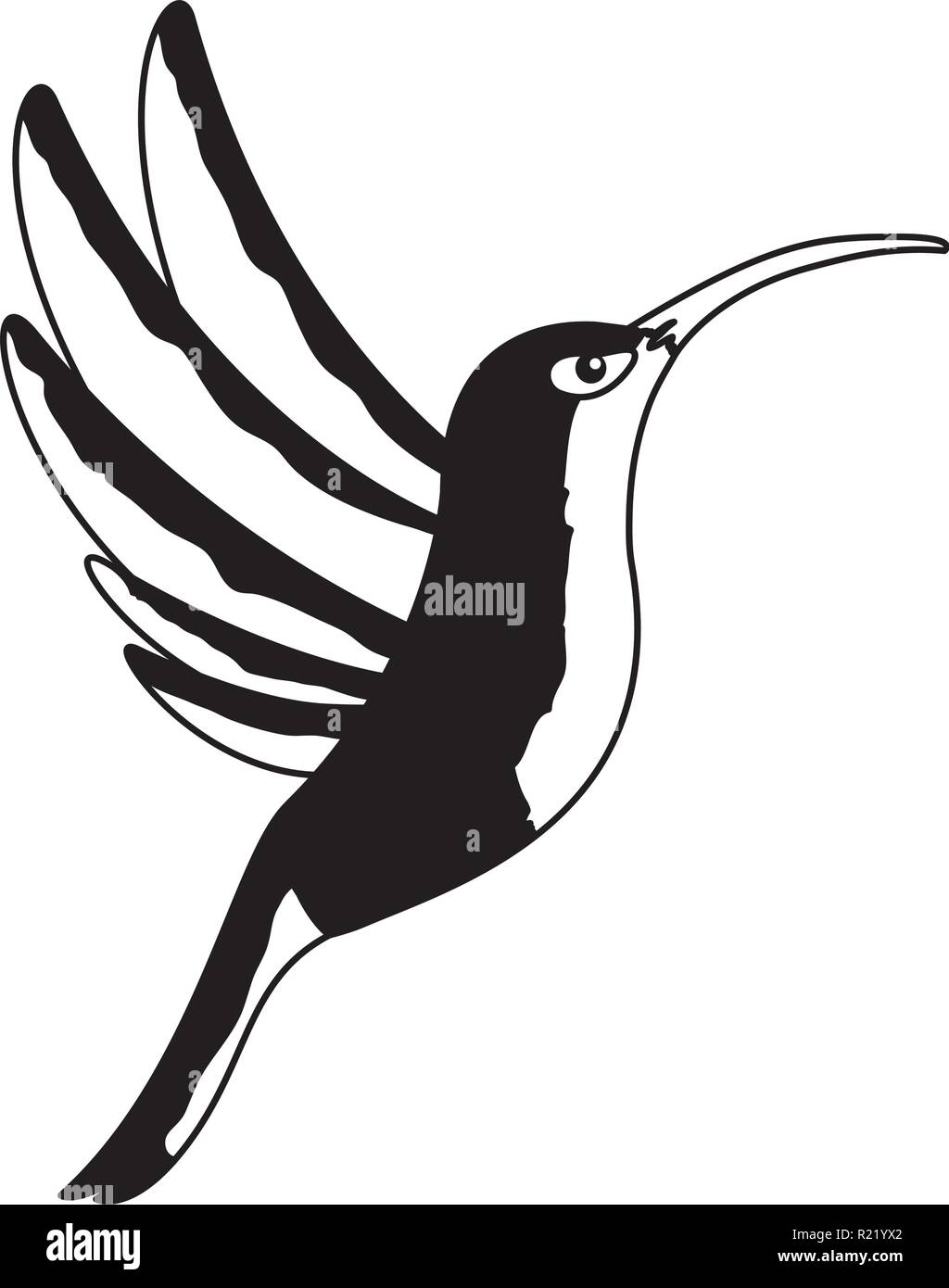 exotic cute hummingbird on white background vector illustration Stock ...