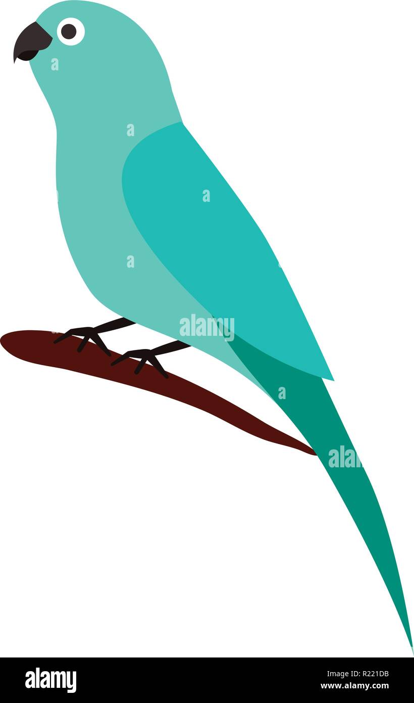 little canary bird on branch vector illustration Stock Vector Image ...