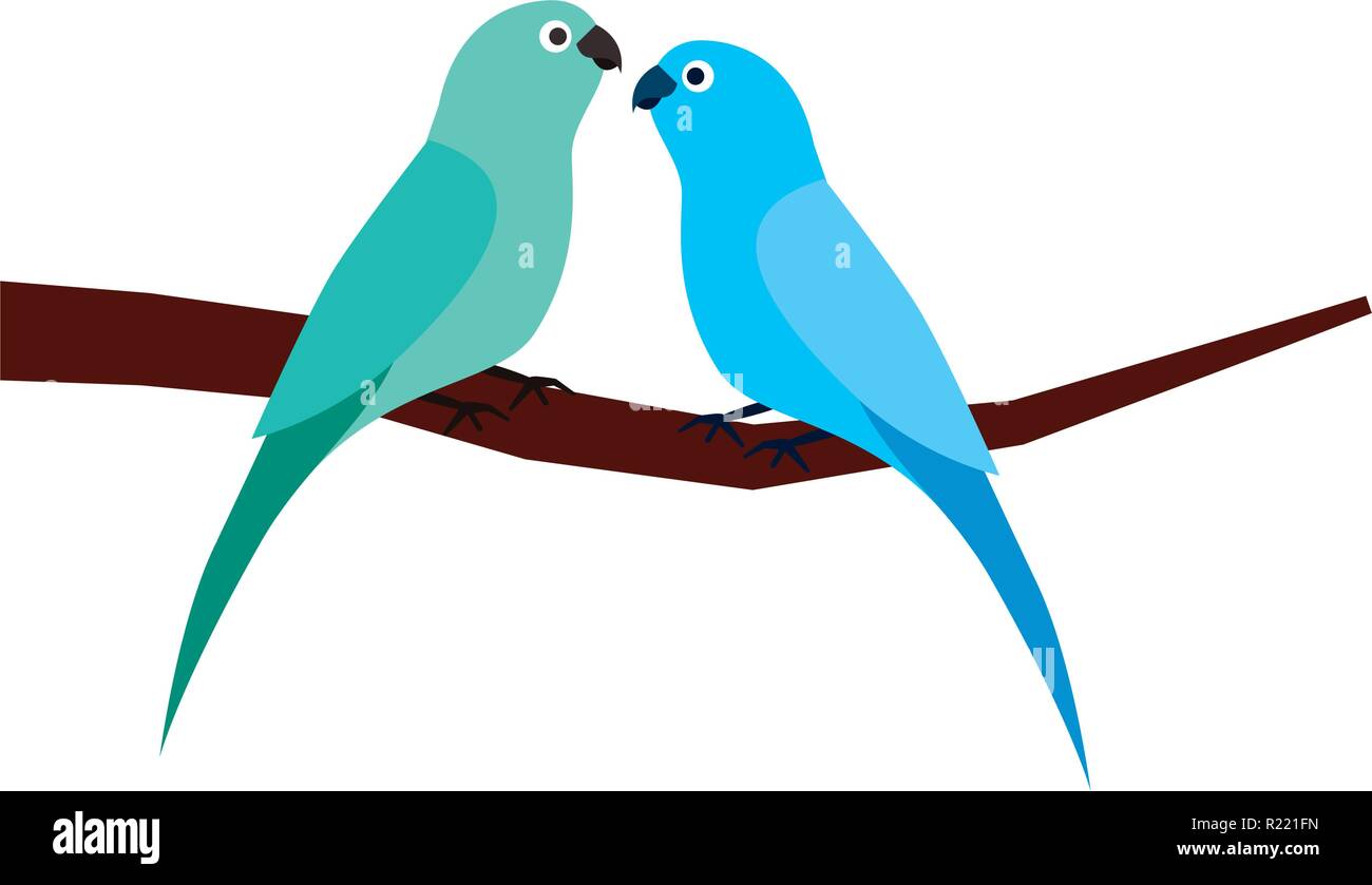 two parrots bird on branch vector illustration Stock Vector Image & Art ...