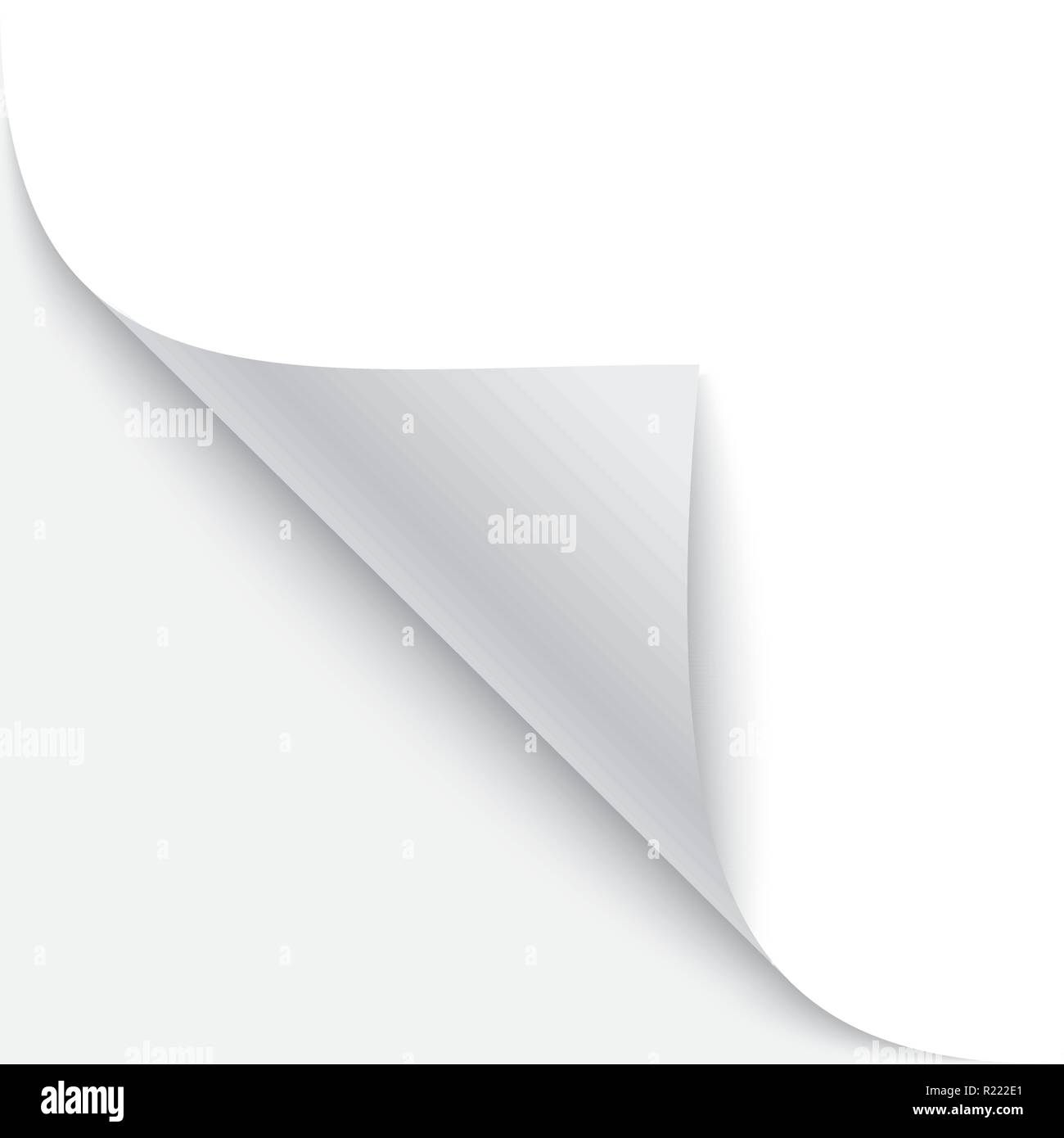 Curled corner of paper with shadow. Vector illustration Stock Vector ...