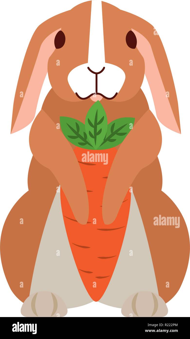 cute rabbit on white background Stock Vector Image & Art - Alamy