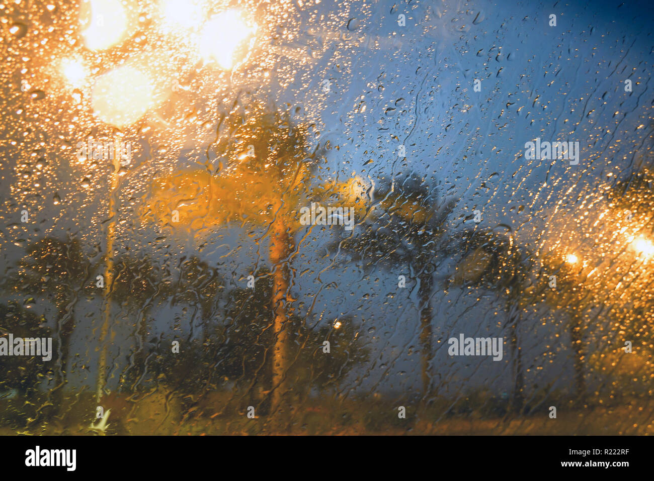 A view of palm trees during a rain storm through the view of the front ...