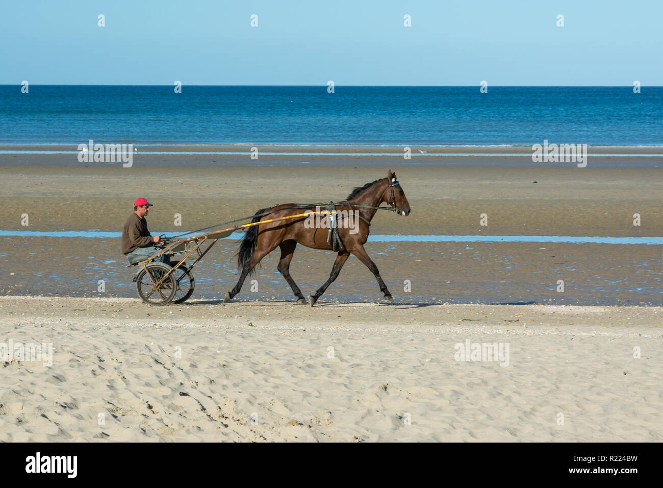 Sea chariot hi-res stock photography and images - Alamy