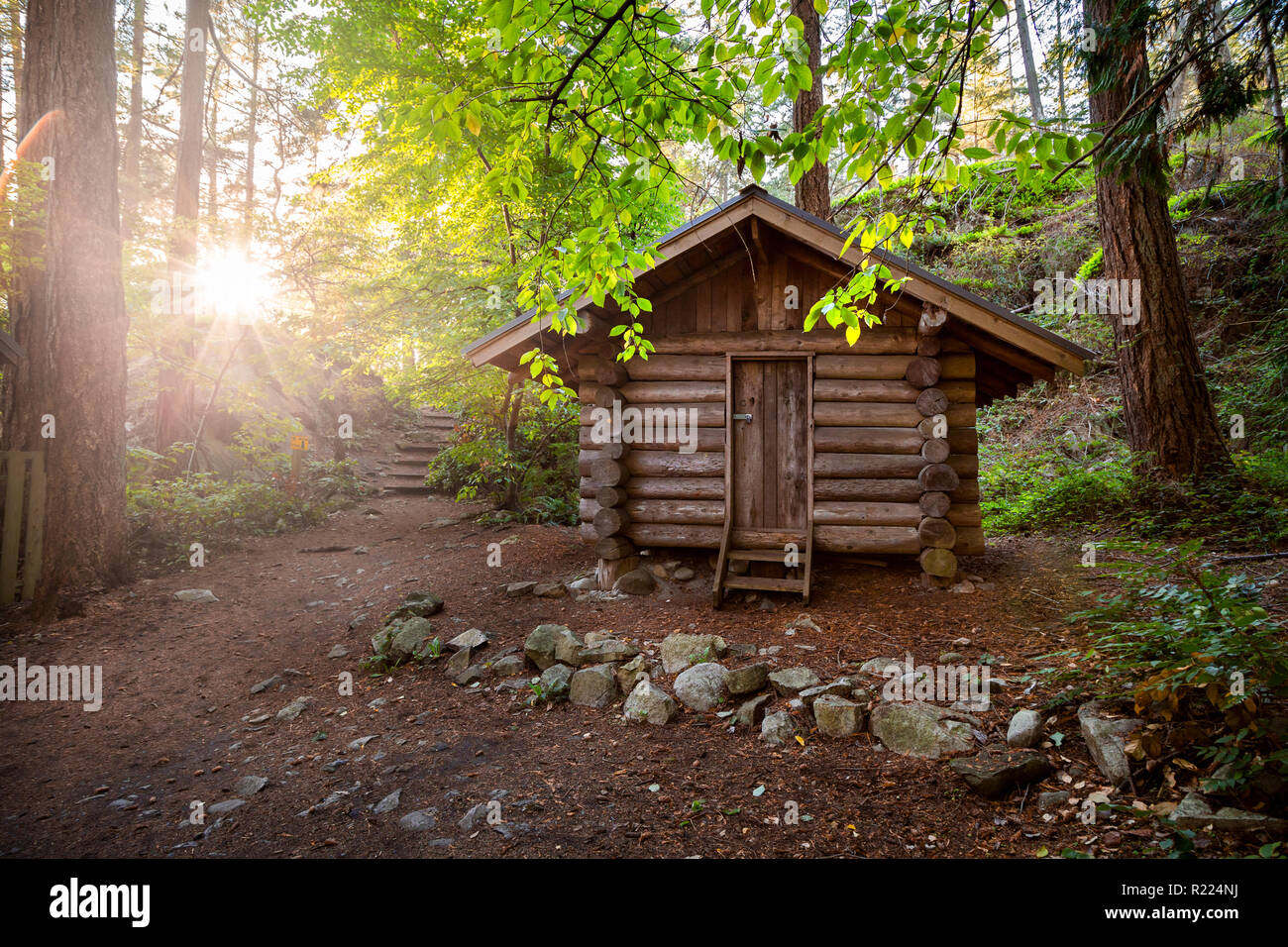 Old cabin in woods hi-res stock photography and images - Alamy