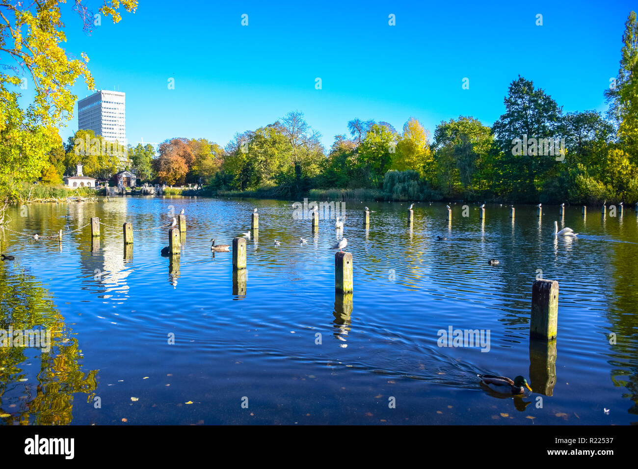 Beautiful landscape view of Serpentine lake in Hyde Park, London ...