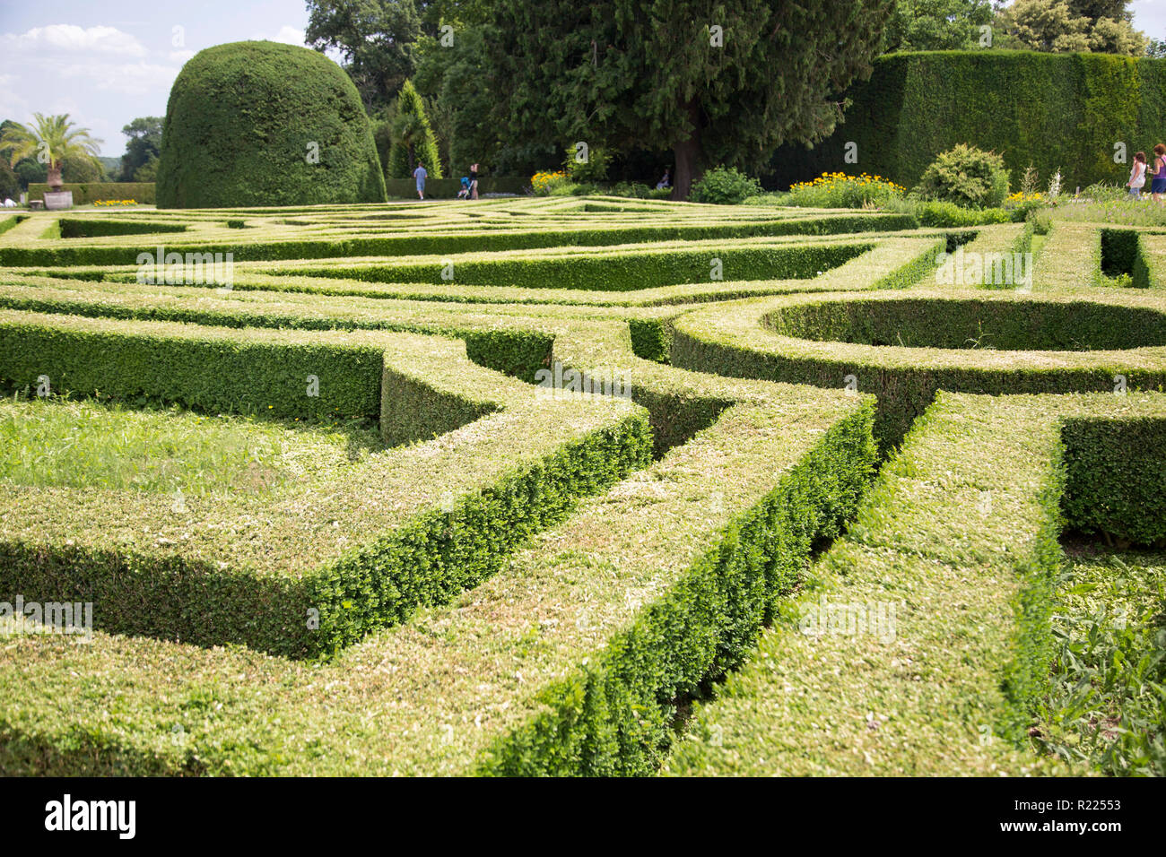 French garden with hedge Stock Photo - Alamy