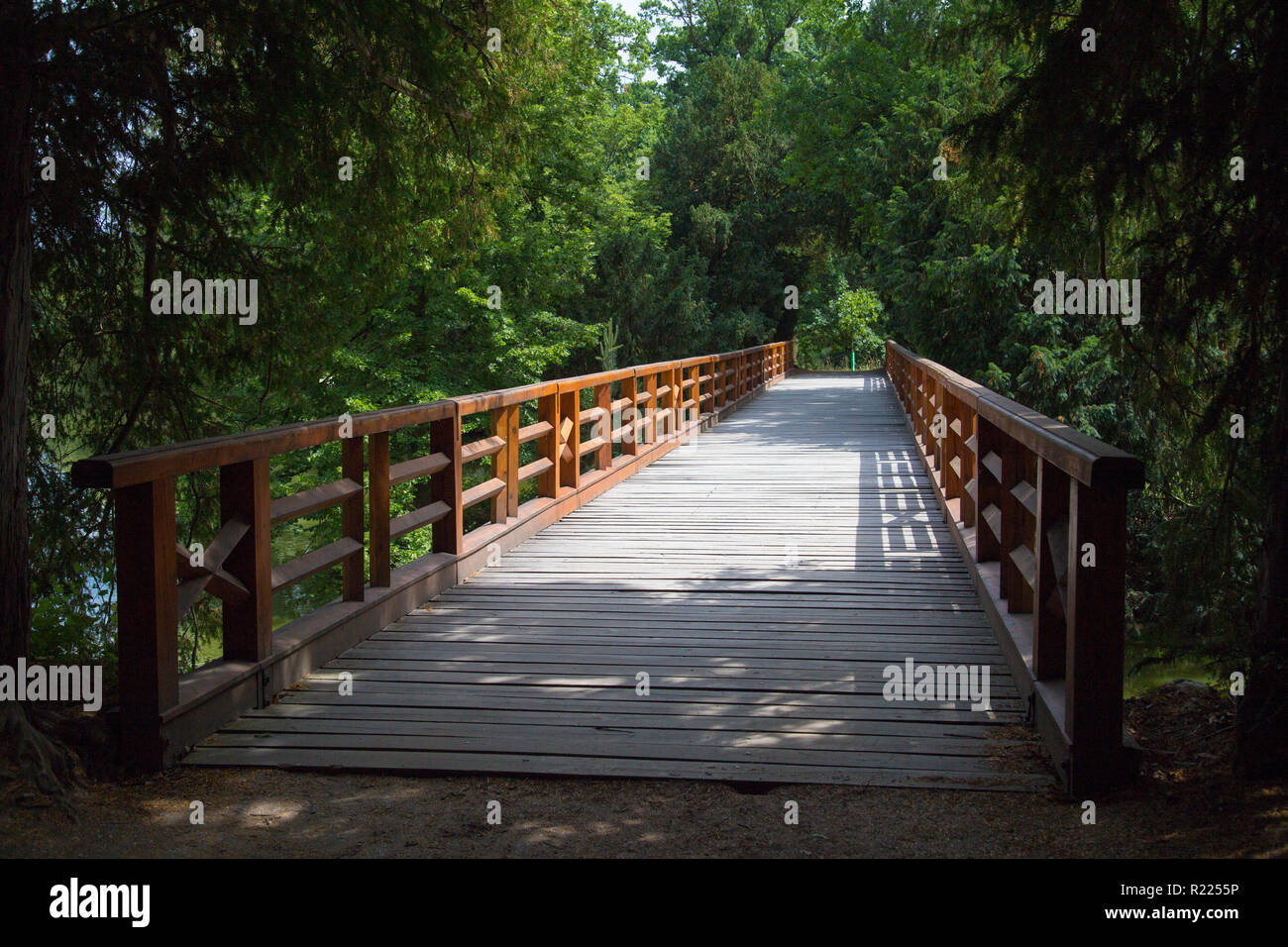 Bridge in forest Stock Photo - Alamy