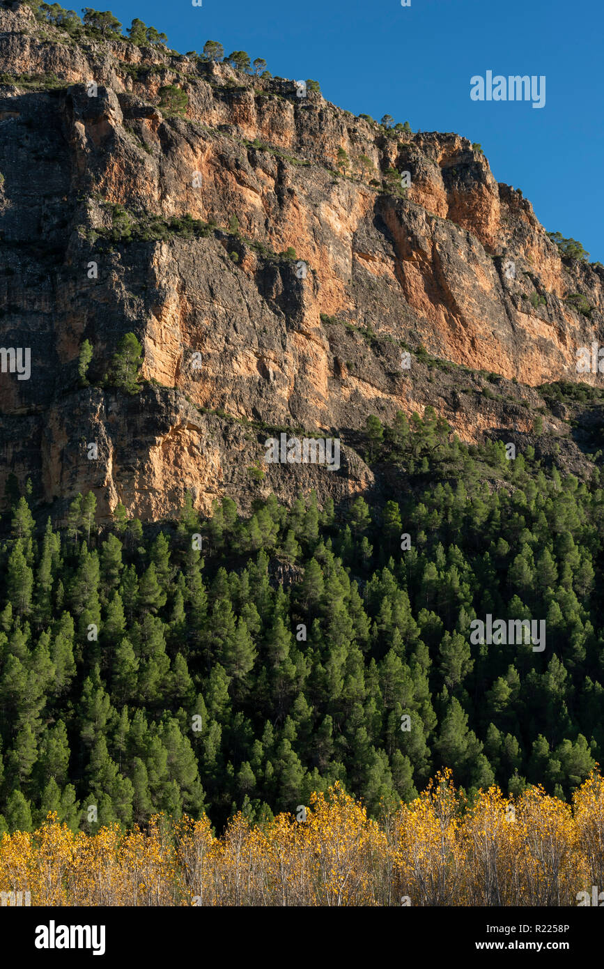 Yeste hi-res stock photography and images - Alamy