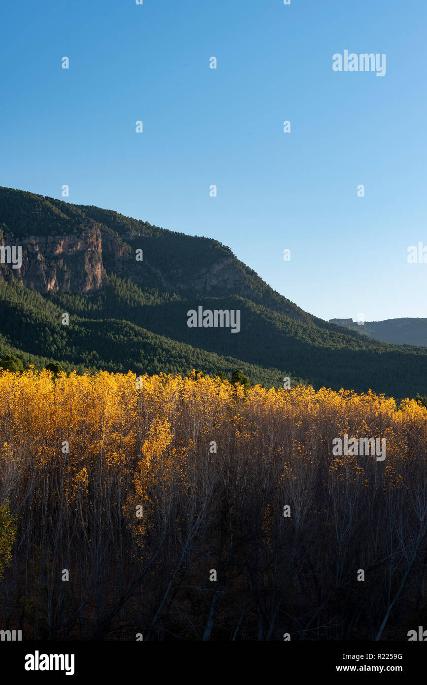 Yeste High Resolution Stock Photography and Images - Alamy