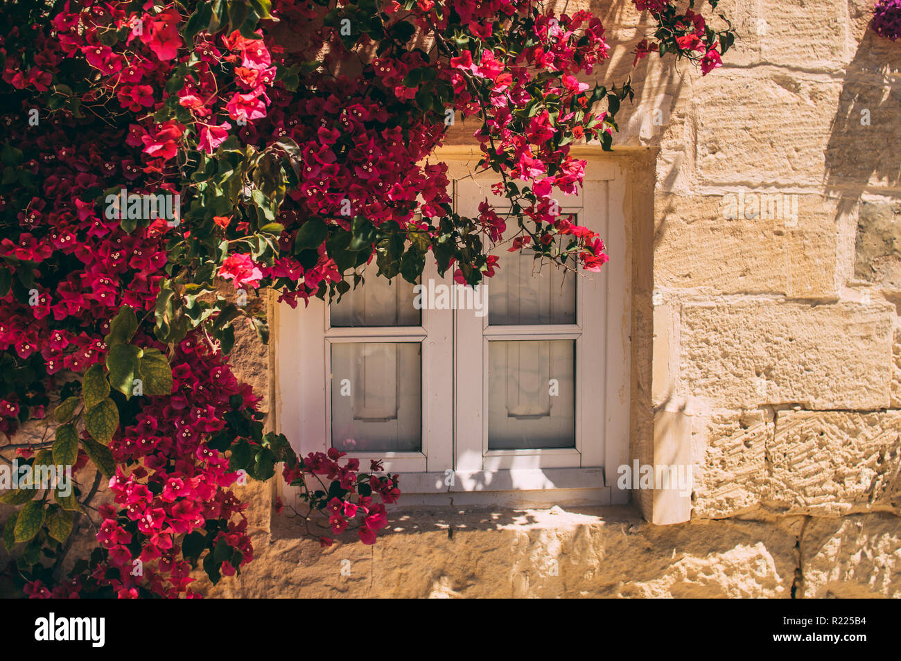 Maltese window in countryside, Malta Stock Photo - Alamy