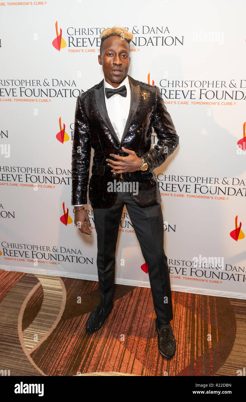 New York, USA. 15th November, 2018. Benjamin Hey! attends The ...