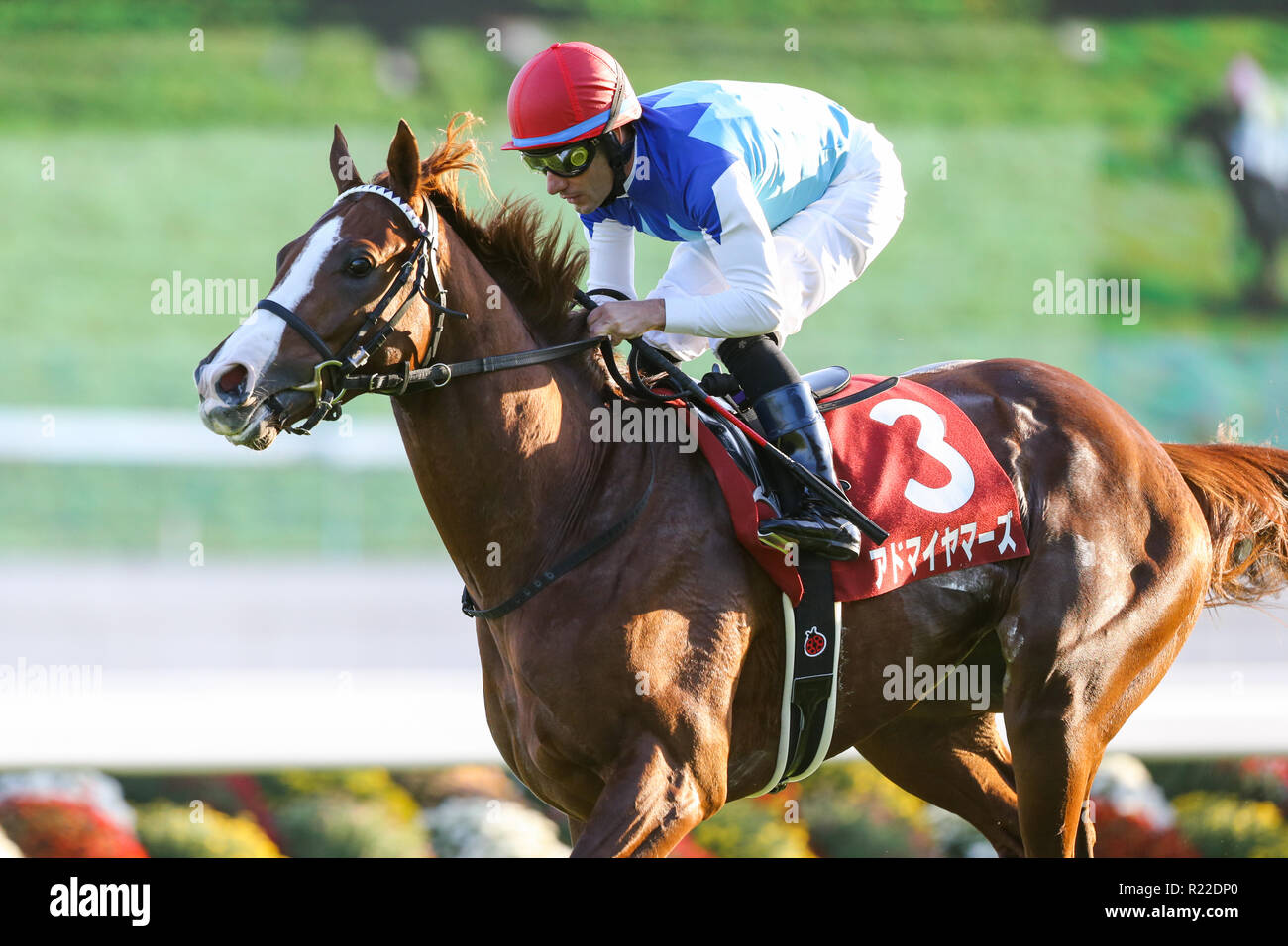 Kyoto, Japan. 10th Nov, 2018. Admire Mars ( Mirco Demuro) Horse Racing ...