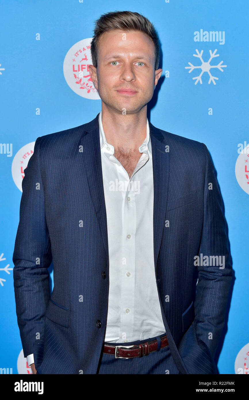 Los Angeles, USA. 14th Nov, 2018. Jamie Spilchuk at the opening ...