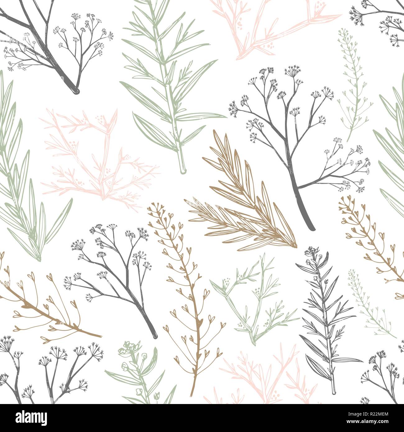 Botanical herbal seamless pattern. Healing field herb plants seamless ...