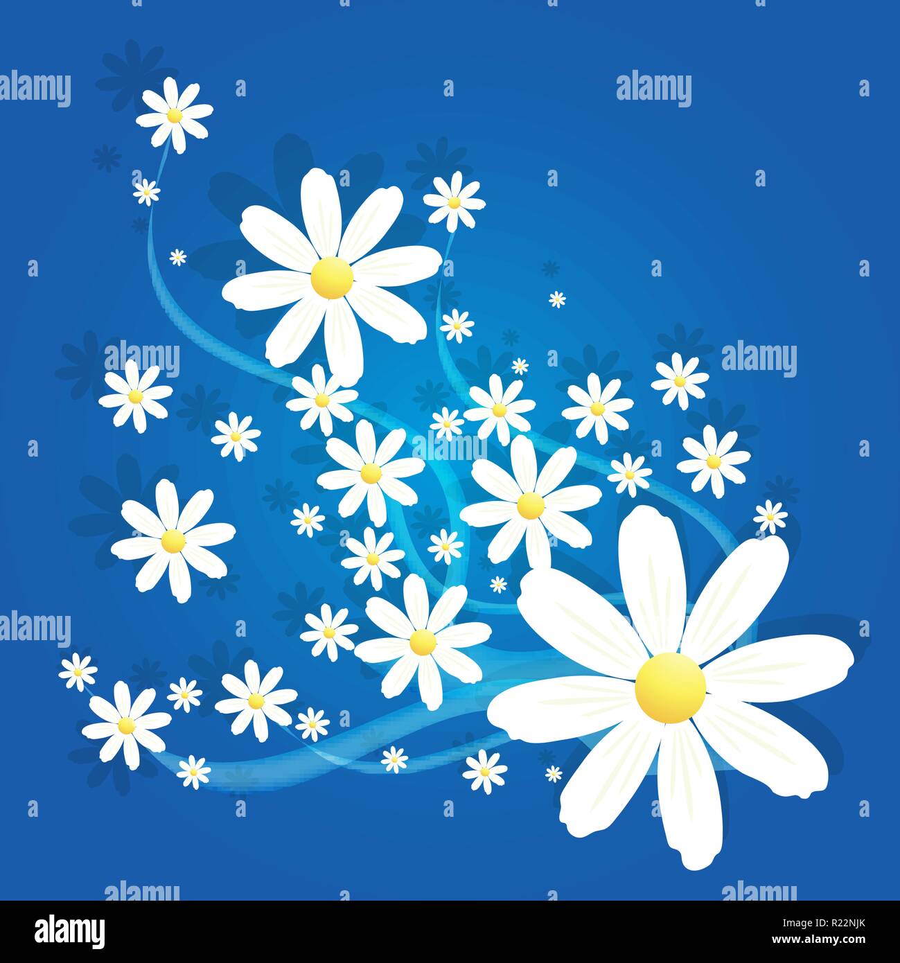 Matricaria camomile flower vector ornament on blue background Stock ...