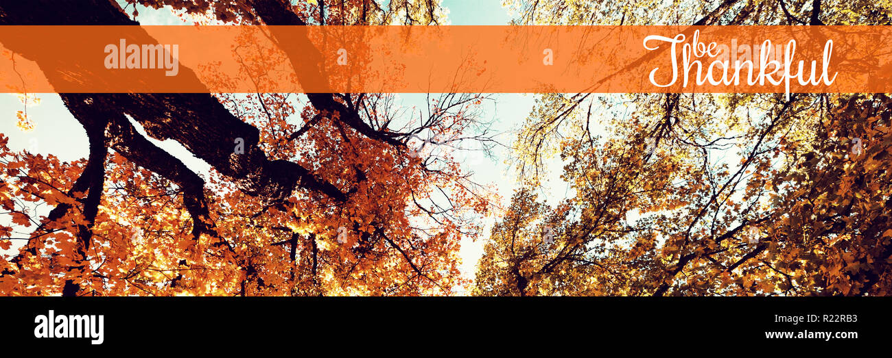 Happy thanksgiving in 3d text hi-res stock photography and images - Alamy