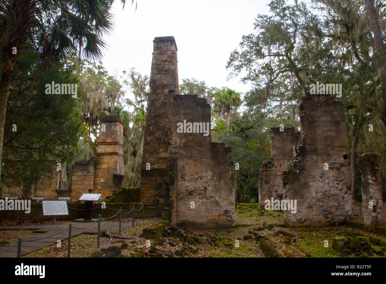 Bulow Plantation ruins, Florida Stock Photo - Alamy