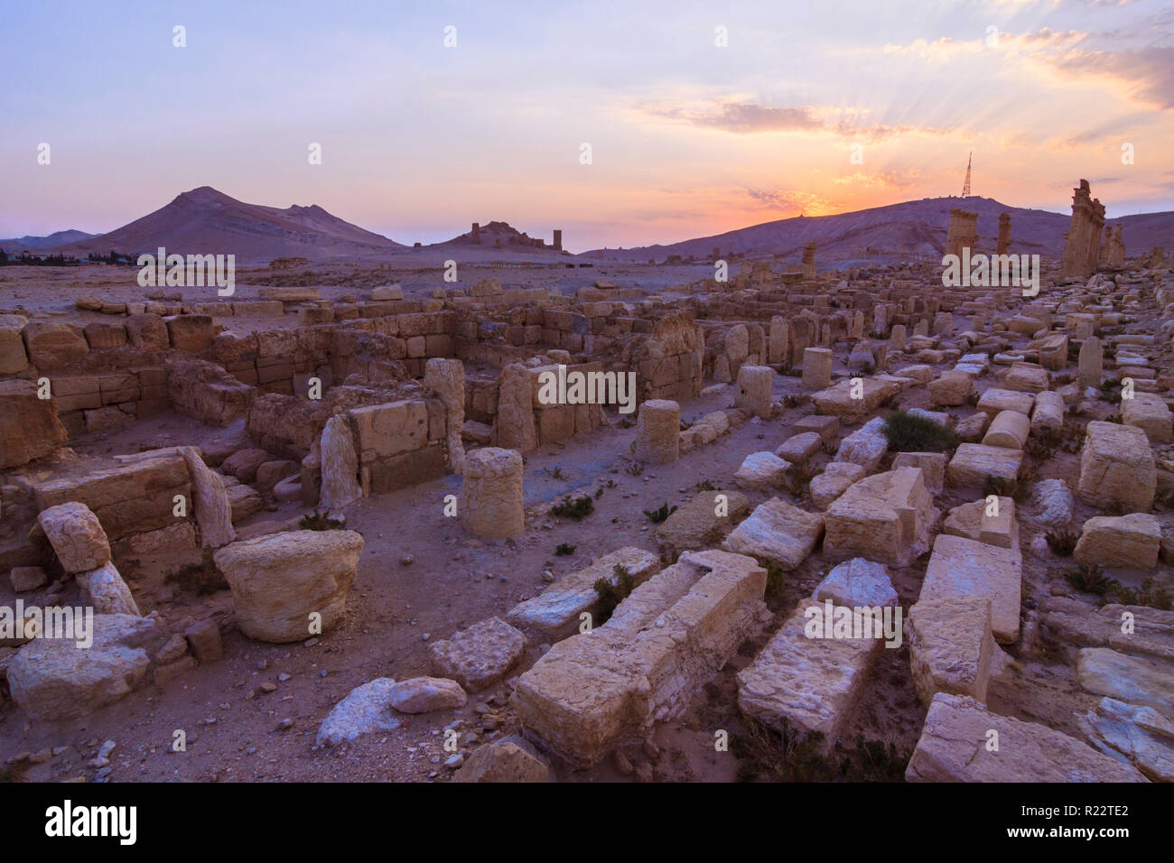 Palmyra, Homs Governorate, Syria - May 26th, 2009 : Great Colonnade of ...