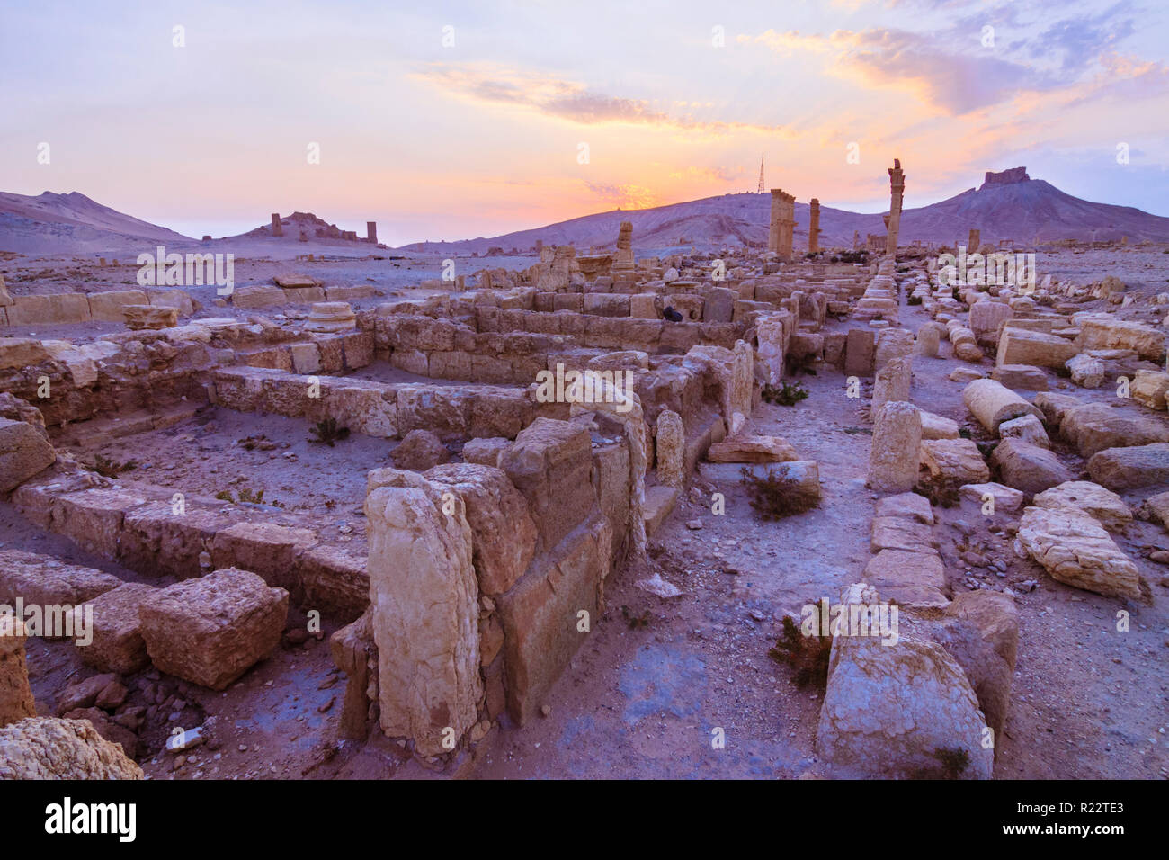 Palmyra, Homs Governorate, Syria - May 26th, 2009 : Great Colonnade of ...