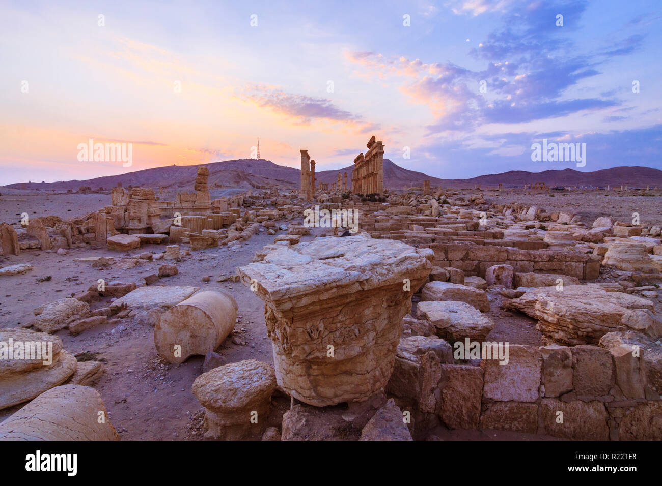 Palmyra, Homs Governorate, Syria - May 26th, 2009 : Great Colonnade of ...