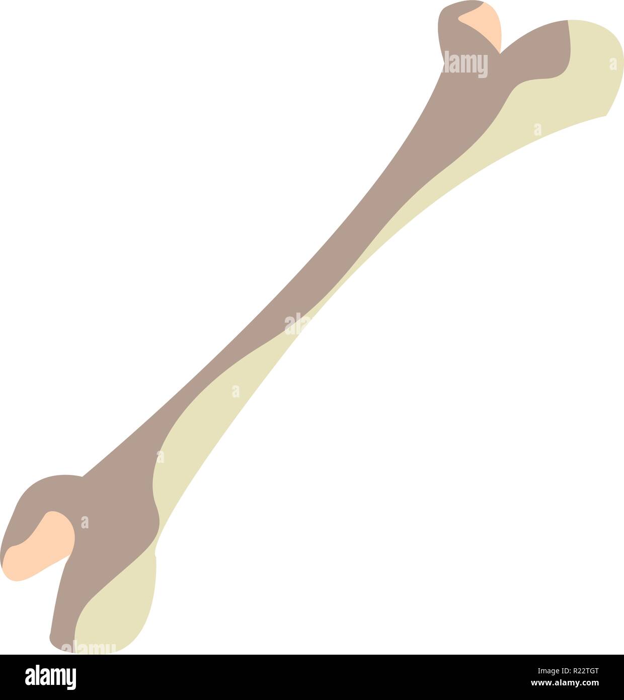 Human Spine Bone Man High Resolution Stock Photography and Images - Alamy