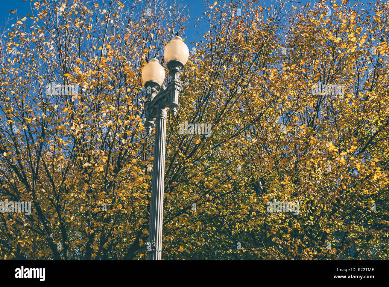 Fall scenery in Washington D.C. with lamp post Stock Photo - Alamy