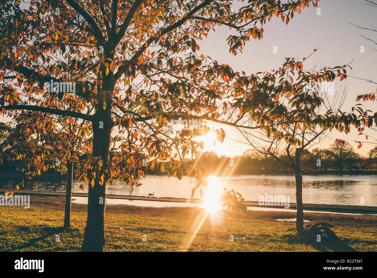 View of the sun setting with the Tidal Basin in Washington D.C. and ...