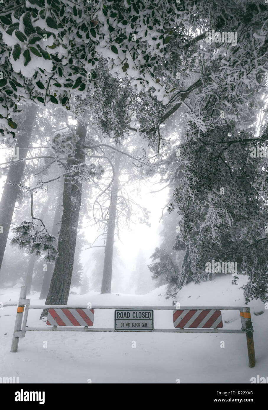 Road Closure Gate of a mountain road covered in snow and surrounded by ...