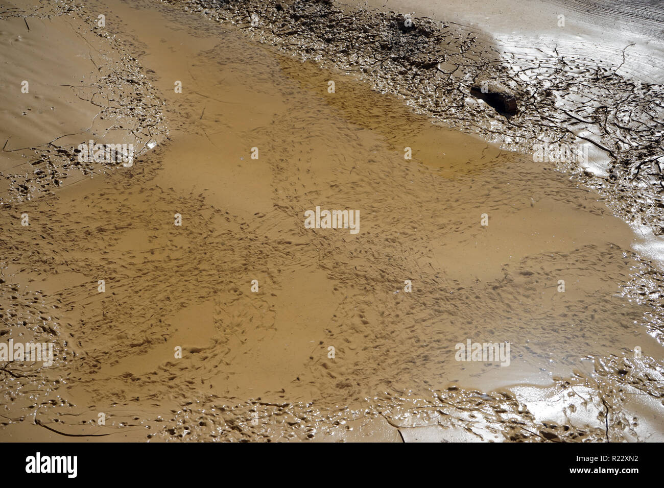 Pool with water on the clay in gorge Stock Photo - Alamy