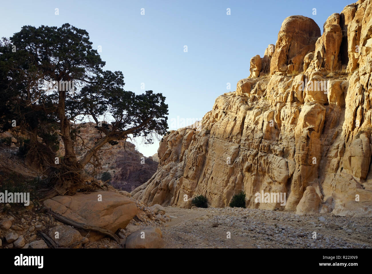 Dry riverbed in gorge, Jordan Stock Photo - Alamy