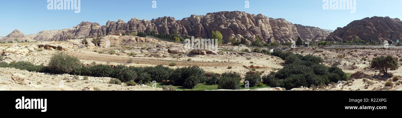 Green bush near dam in Jordan Stock Photo - Alamy