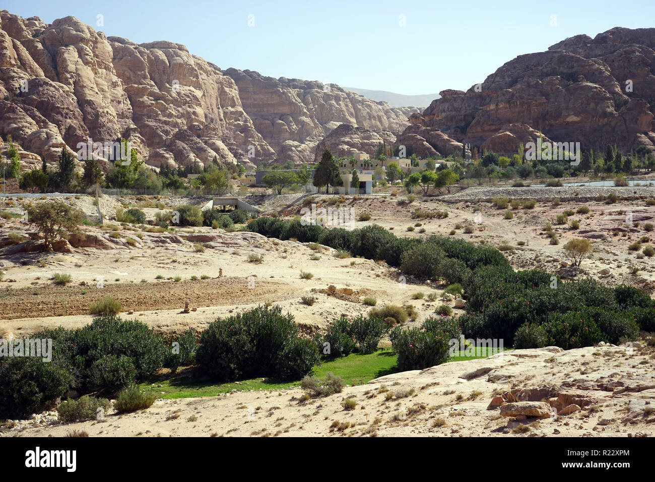 Green bush near dam in Jordan Stock Photo - Alamy