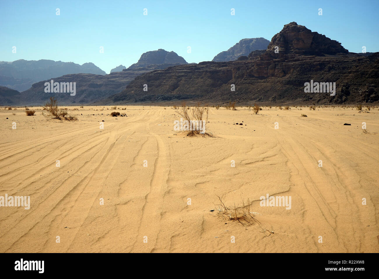 Tracks on the sand in Wadi Rum desert, Jordan Stock Photo - Alamy