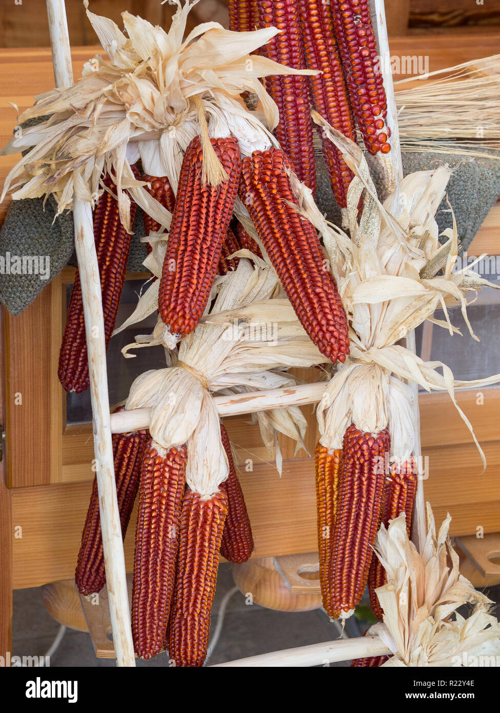 Corn stalk decoration hi-res stock photography and images - Alamy