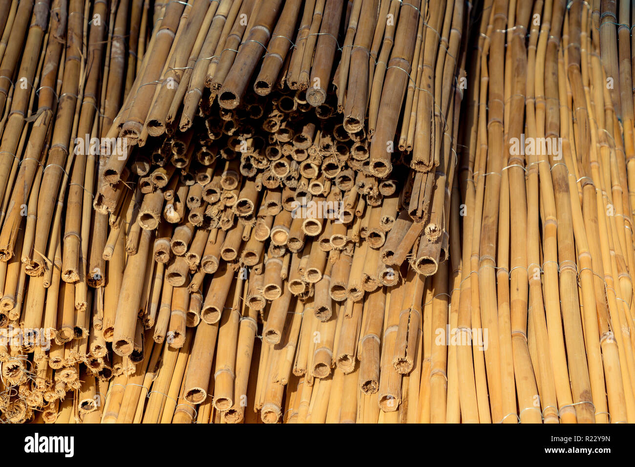 Bamboo sticks in stacks in large quantities Stock Photo - Alamy