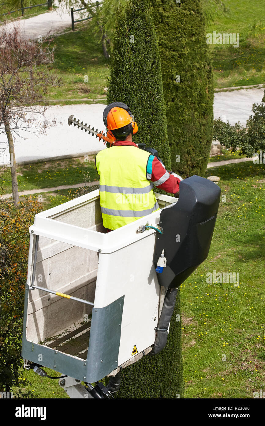 Equiped worker pruning a tree on a crane. Gardening works Stock Photo ...