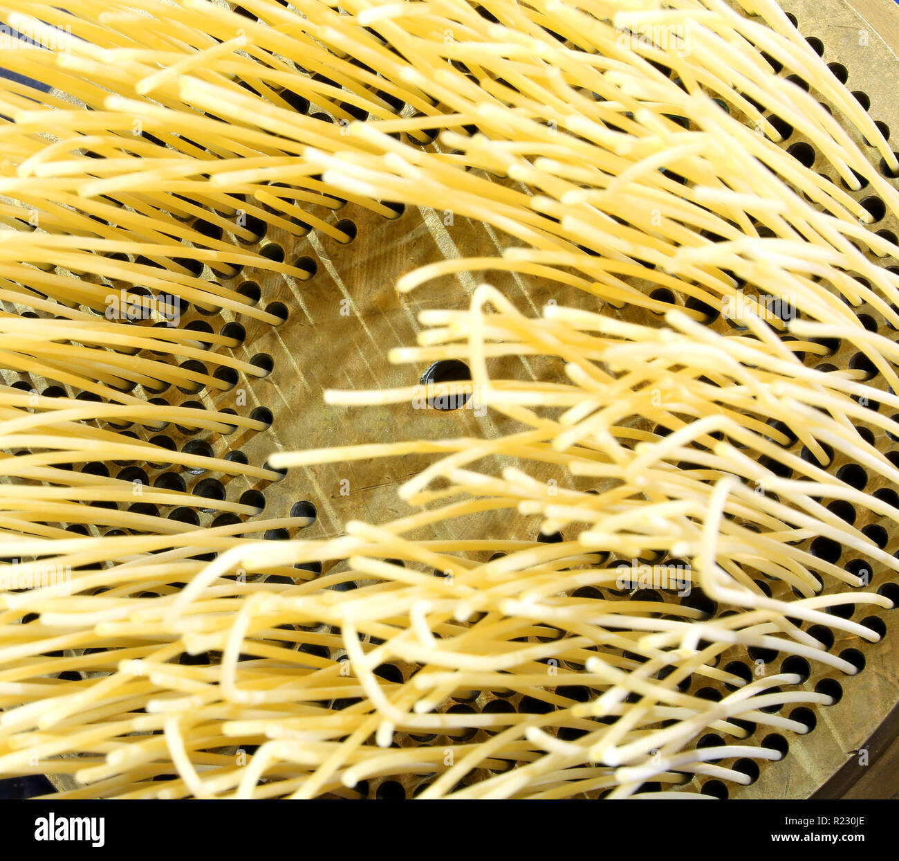 italian spaghetti pasta with the technique called TRAFILURA that means ...