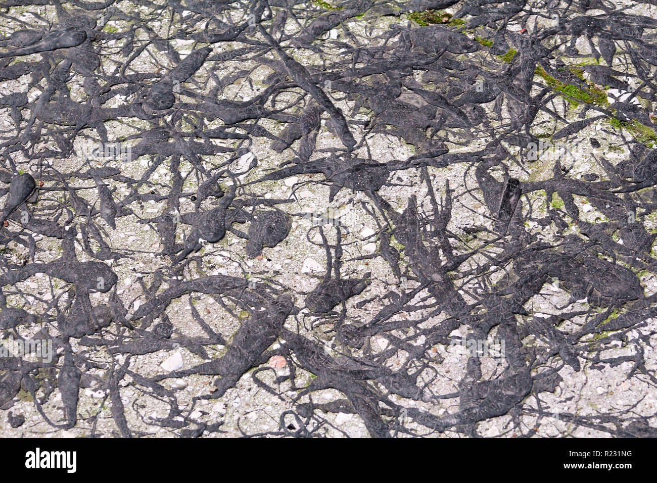 Detail of concrete with bitumen and tar / Asphalt texture background ...
