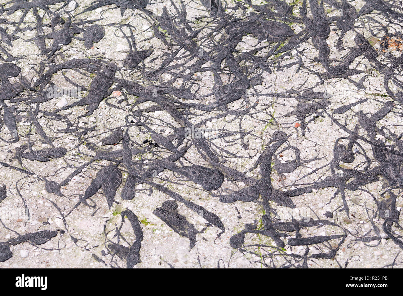 Detail of concrete with bitumen and tar / Asphalt texture background ...