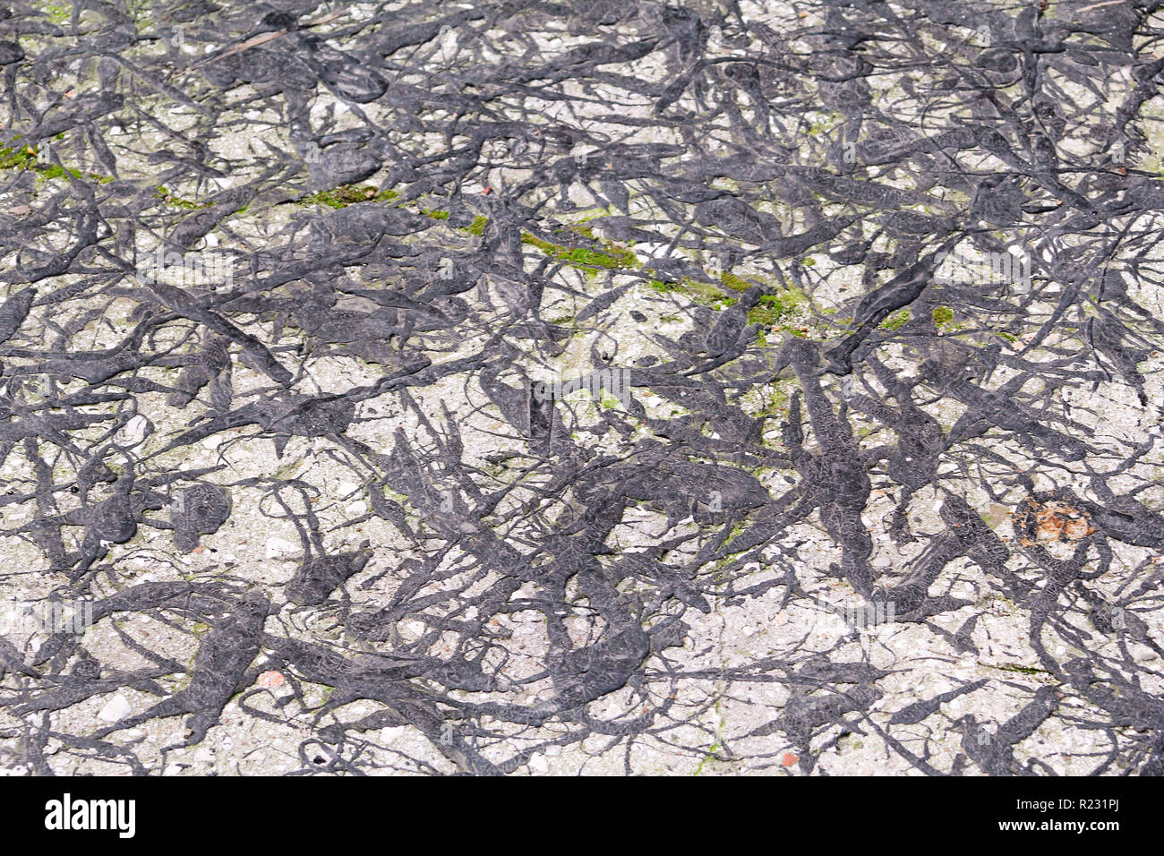 Detail of concrete with bitumen and tar / Asphalt texture background ...