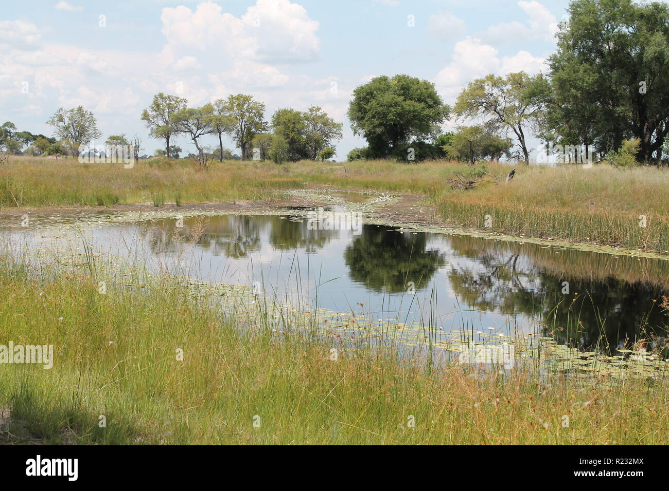 Kwando-Linyanti River in Namiba Stock Photo - Alamy