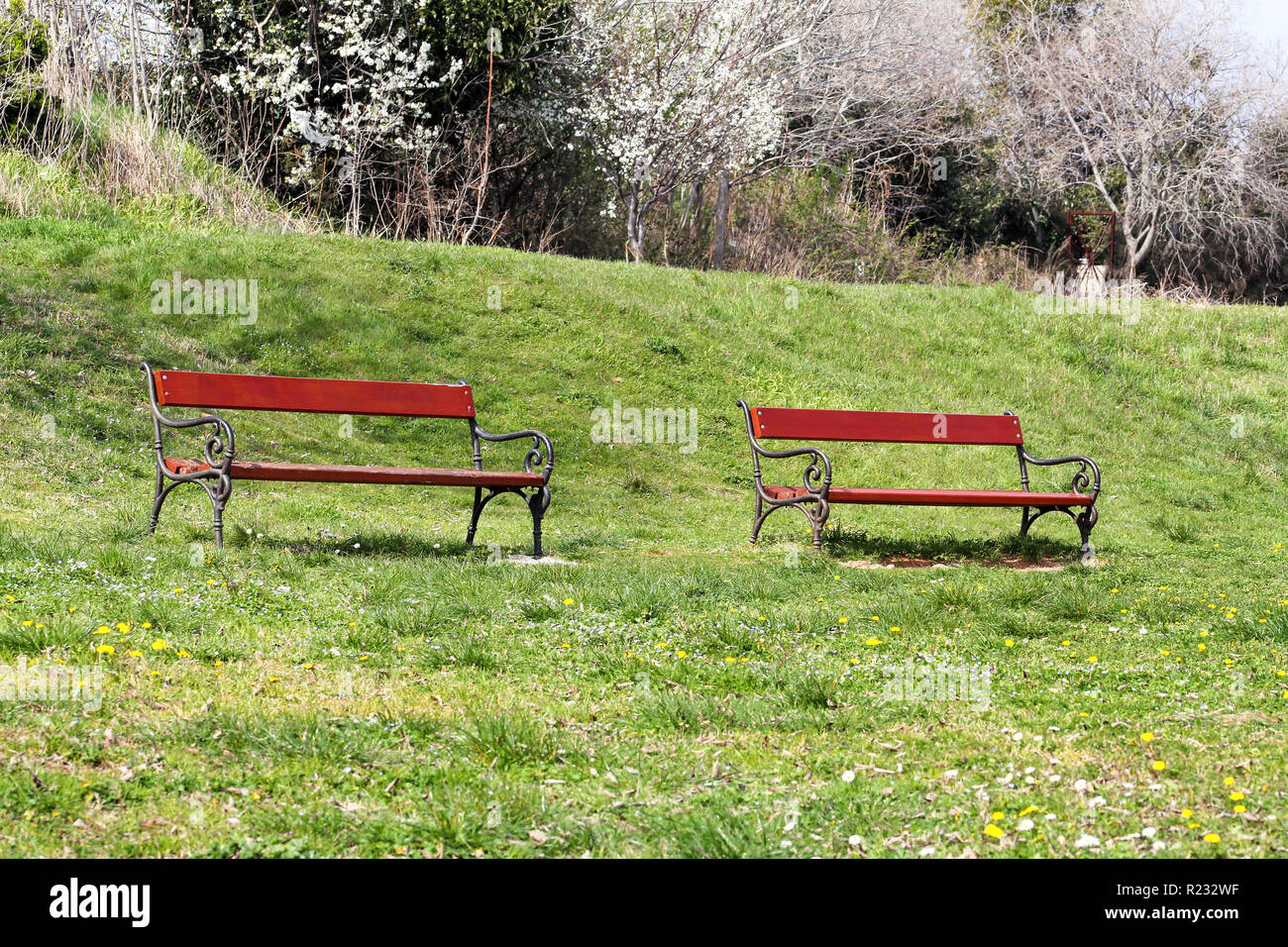 Two red wooden bench in beautiful natural environment, grass and spring ...